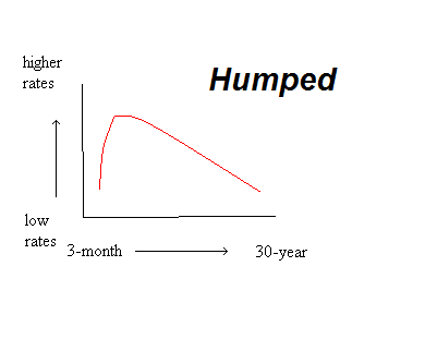Forex and the Yield Curve: Understanding Interest Rates