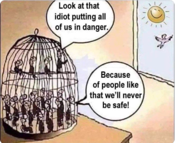 Traders joking (Memes, Jokes & anything funny to pass time between ...